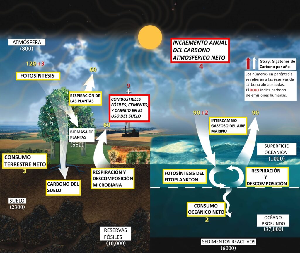 PROPIEDADES del CO2 y EFECTO Ambiental - ¡DESCÚBRELOS!